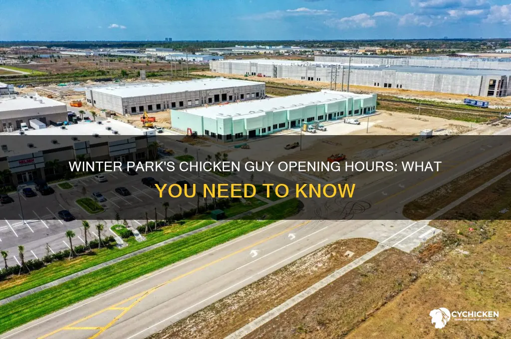 Winter Park's Chicken Guy Opening Hours: What You Need To Know | CyChicken