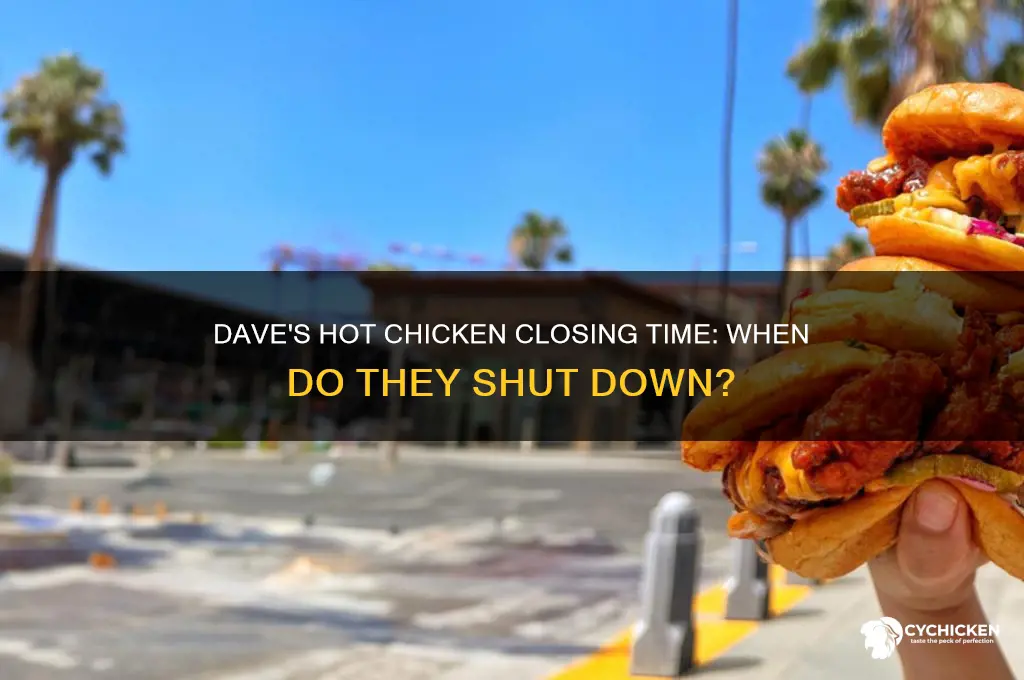Dave's Hot Chicken Closing Time: When Do They Shut Down? | CyChicken