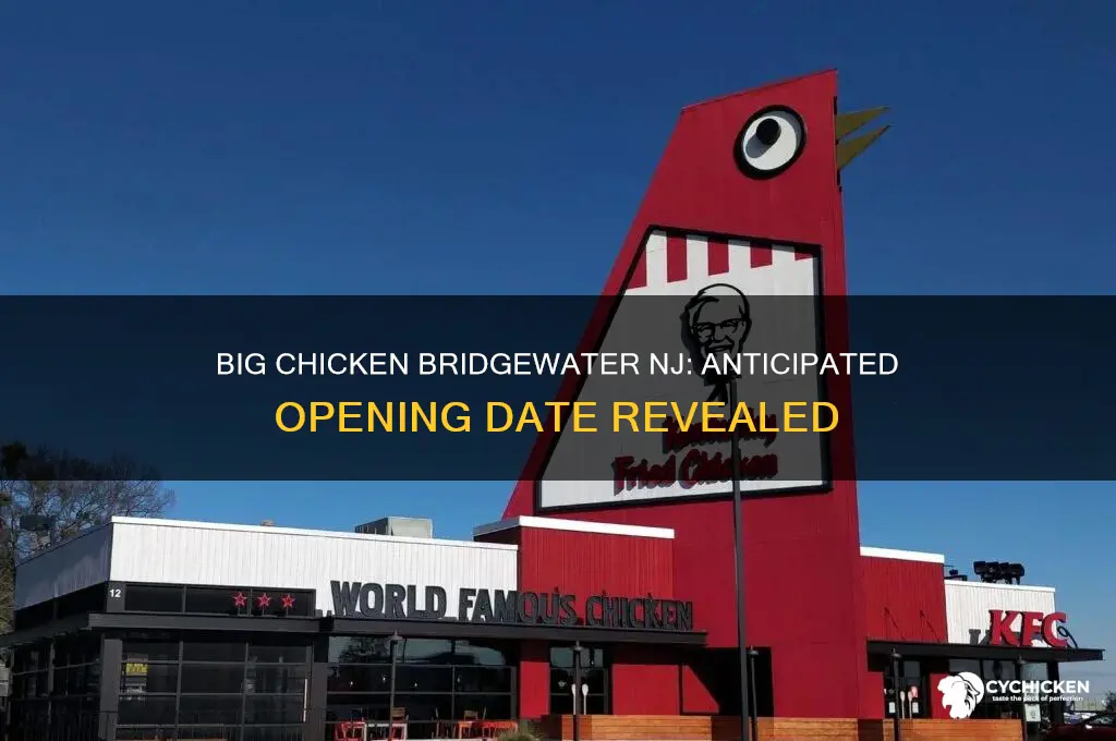 Big Chicken Bridgewater Nj: Anticipated Opening Date Revealed | CyChicken