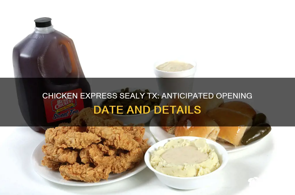 Chicken Express Sealy Tx: Anticipated Opening Date And Details | CyChicken
