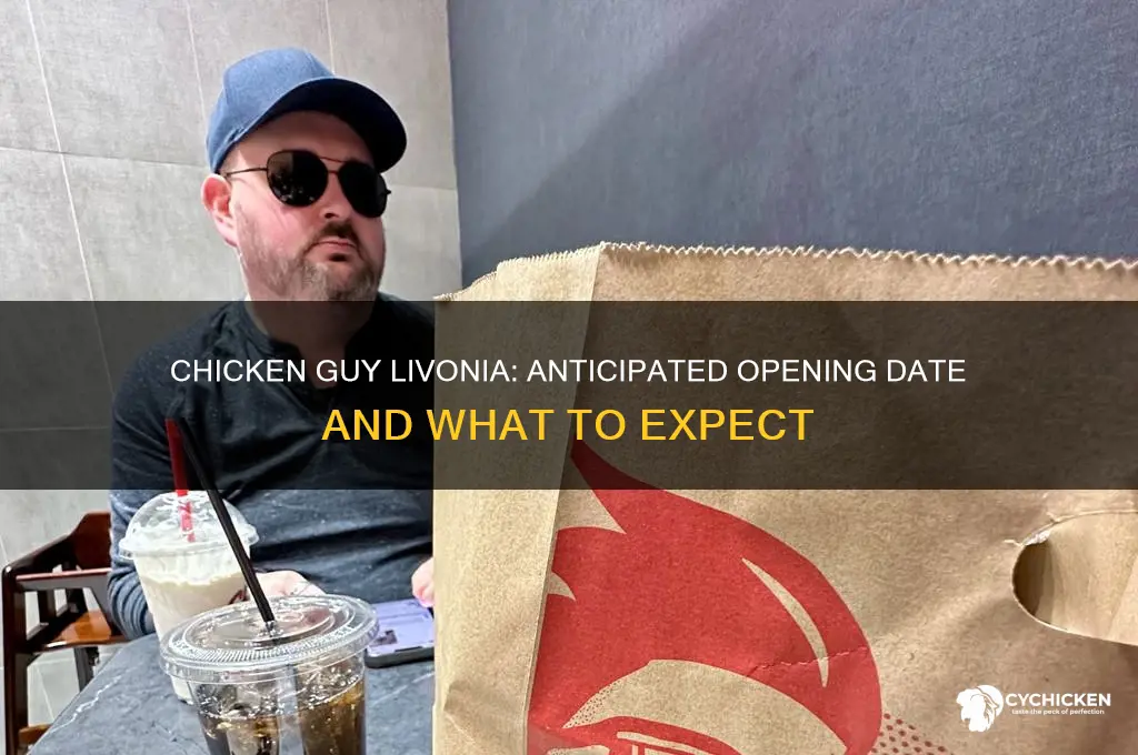 Chicken Guy Livonia: Anticipated Opening Date And What To Expect ...
