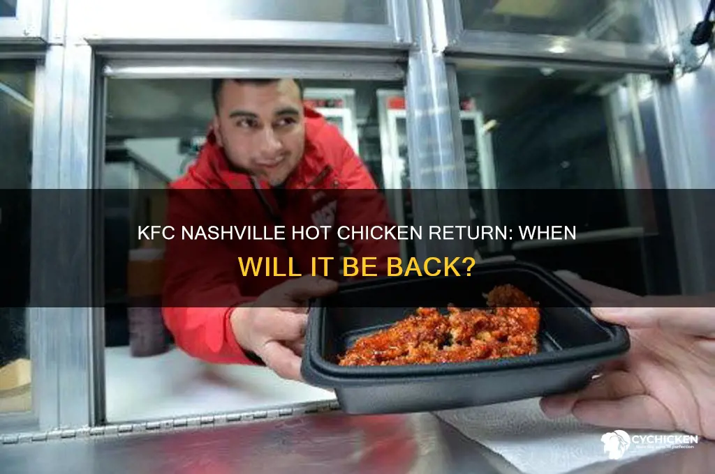 Kfc Nashville Hot Chicken Return: When Will It Be Back? | CyChicken