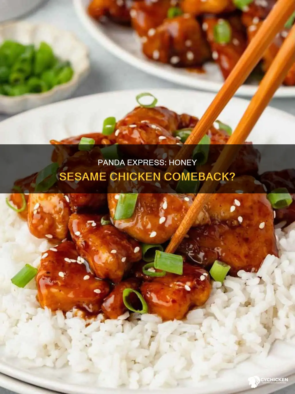 Panda Express: Honey Sesame Chicken Comeback? | CyChicken