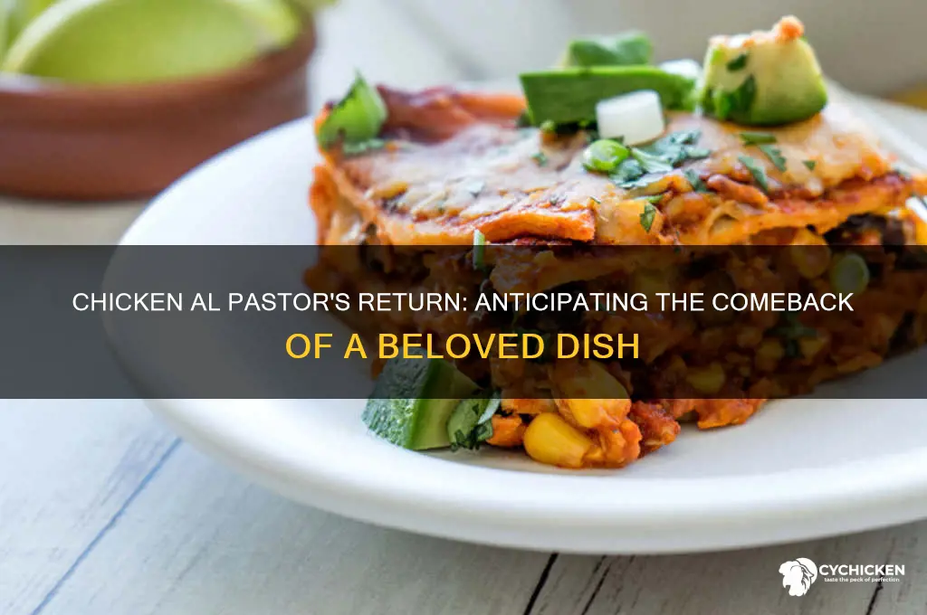 Chicken Al Pastor's Return: Anticipating The Comeback Of A Beloved Dish ...