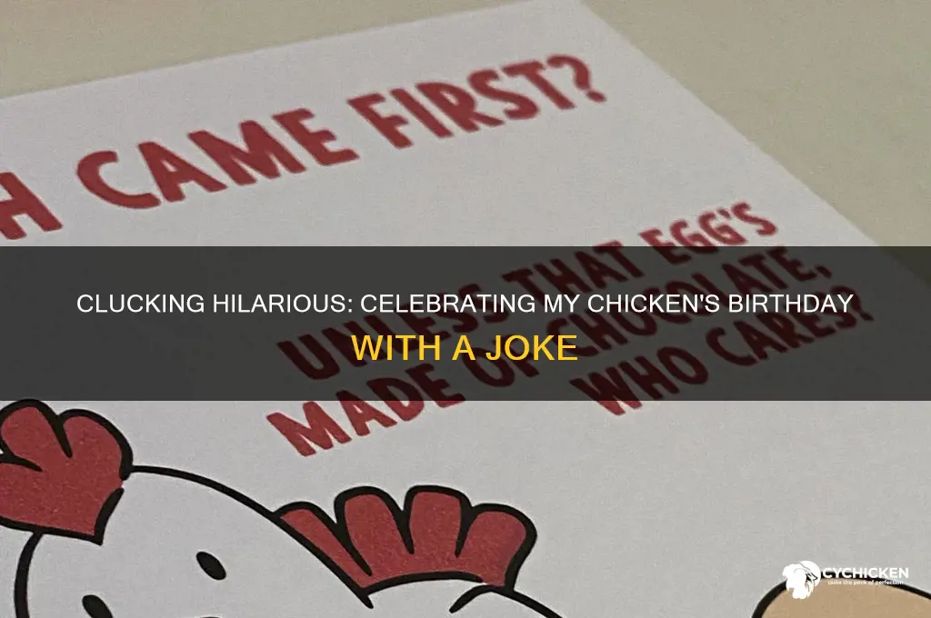Clucking Hilarious: Celebrating My Chicken's Birthday With A Joke ...