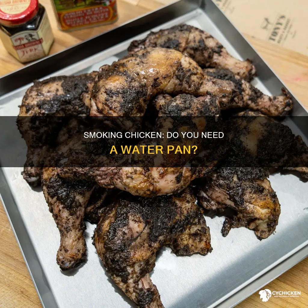 Smoking Chicken: Do You Need A Water Pan? | CyChicken