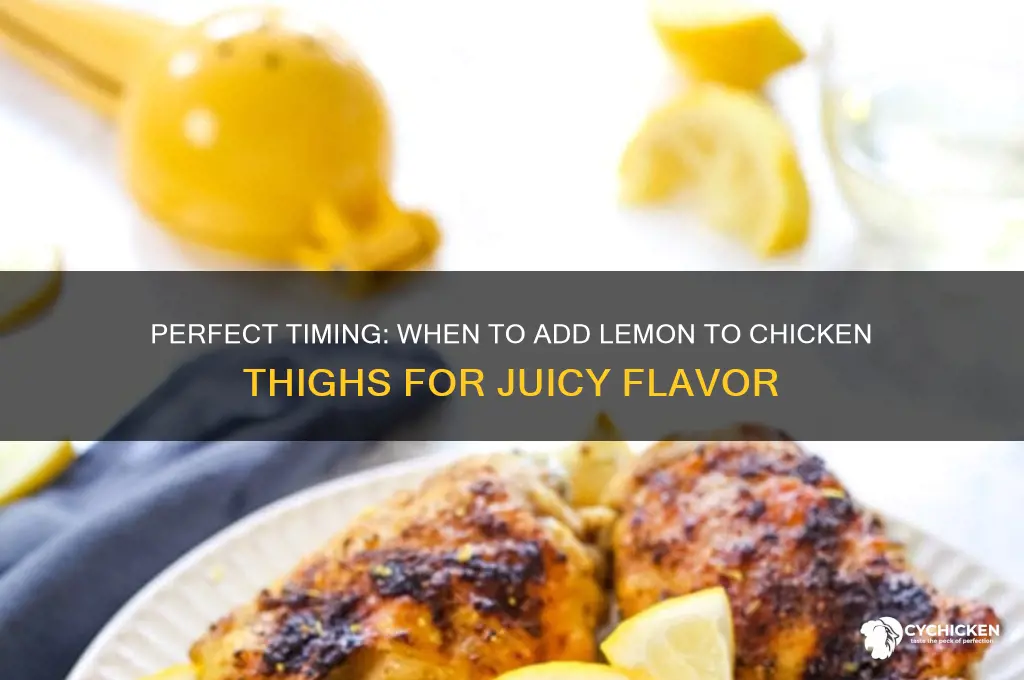 Perfect Timing: When To Add Lemon To Chicken Thighs For Juicy Flavor ...