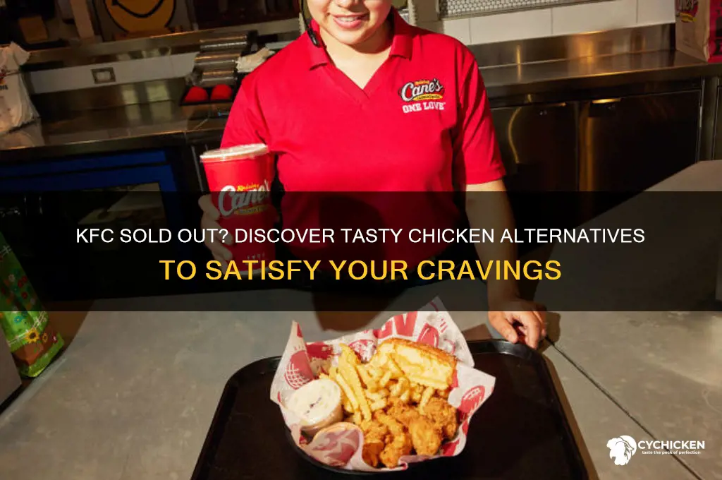 Kfc Sold Out? Discover Tasty Chicken Alternatives To Satisfy Your ...