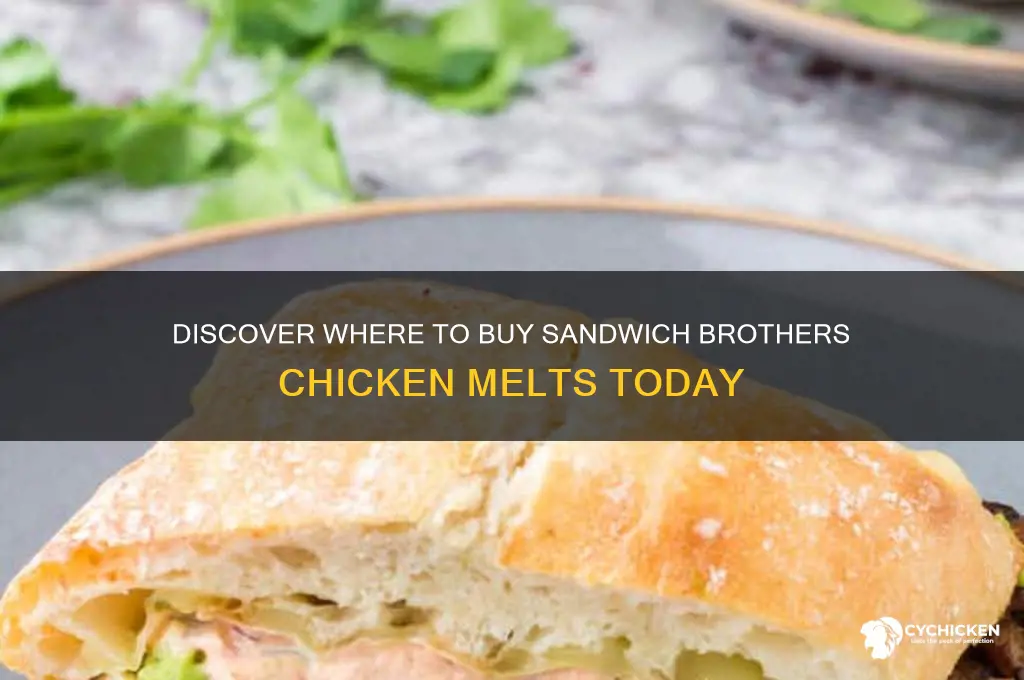Discover Where To Buy Sandwich Brothers Chicken Melts Today | CyChicken