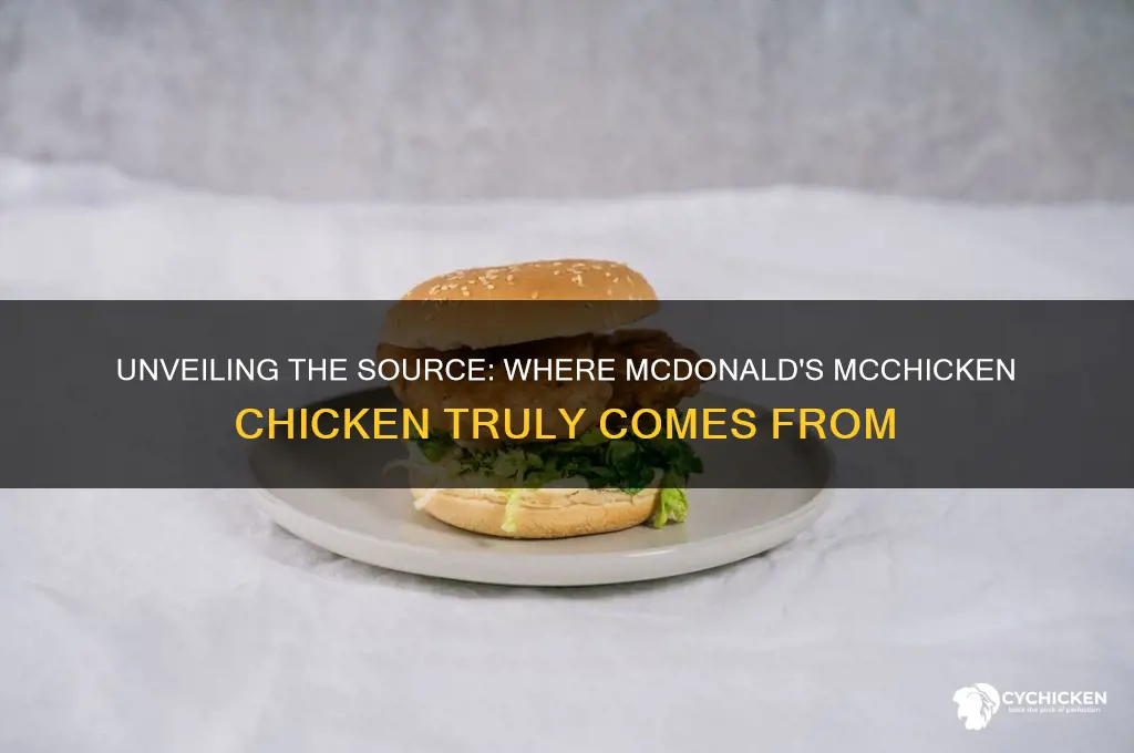 Unveiling The Source: Where Mcdonald's Mcchicken Chicken Truly Comes ...