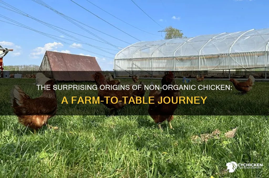 The Surprising Origins Of Non-Organic Chicken: A Farm-To-Table Journey ...