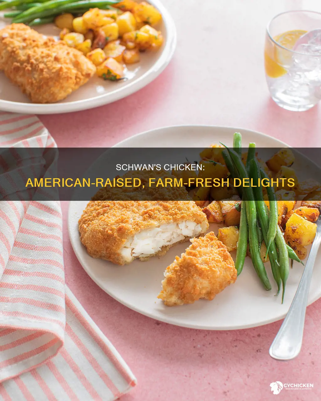 Schwan's Chicken: American-Raised, Farm-Fresh Delights | CyChicken