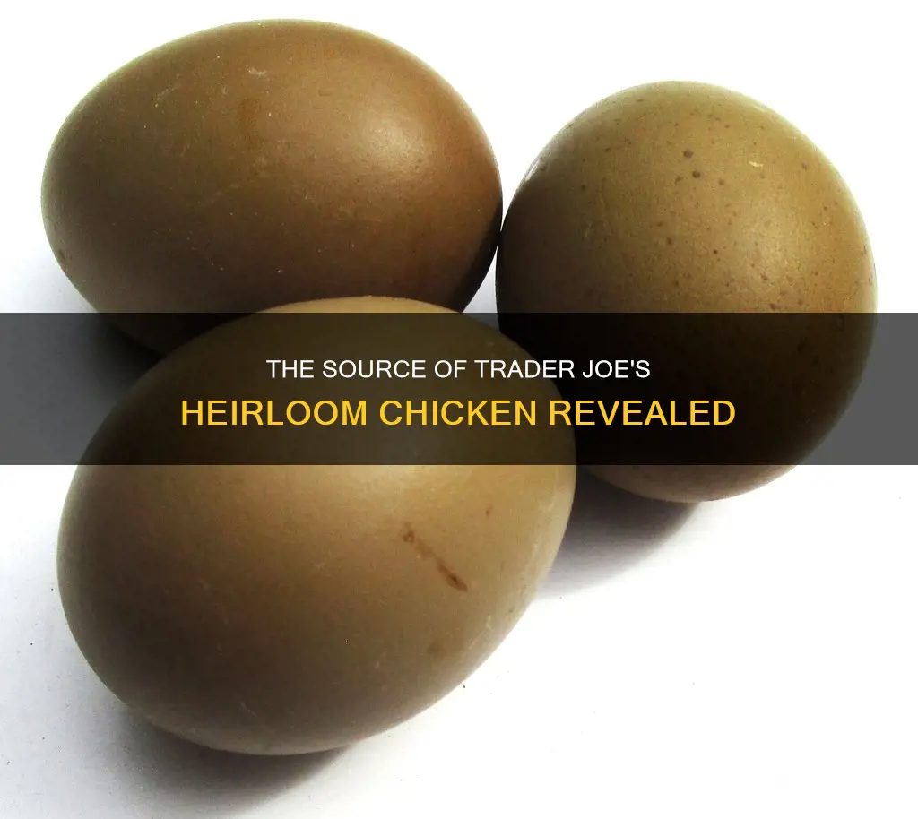 The Source Of Trader Joe's Heirloom Chicken Revealed | CyChicken