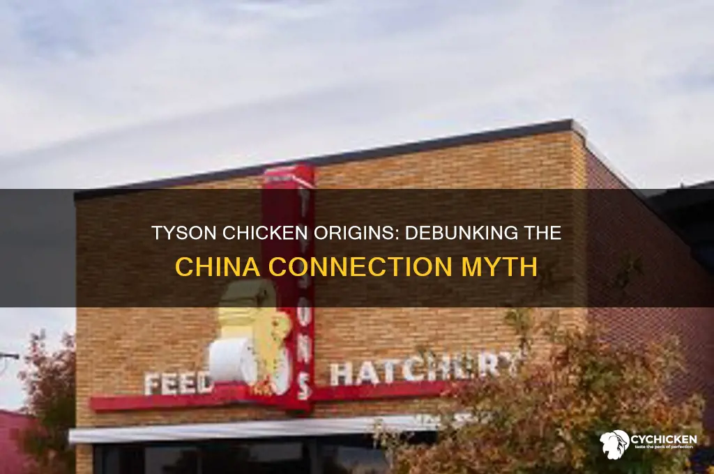 Tyson Chicken Origins: Debunking The China Connection Myth | CyChicken