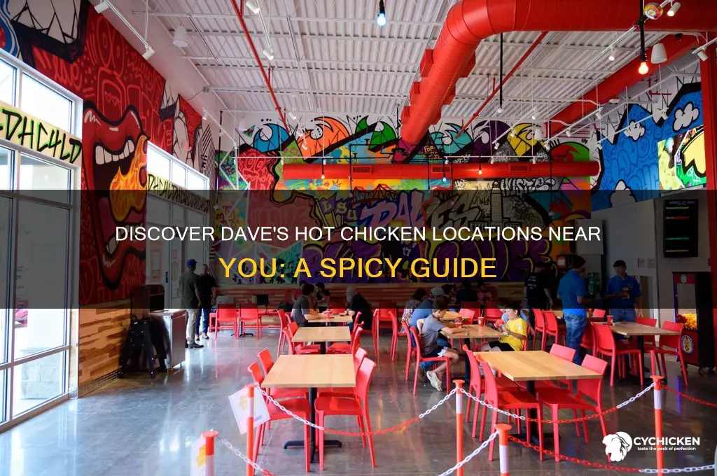 Discover Dave's Hot Chicken Locations Near You: A Spicy Guide | CyChicken