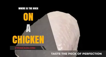 Where Is The Keel On A Chicken: Anatomy Explained | CyChicken