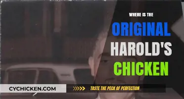 Locating The Chicken Hock: A Guide To Poultry Anatomy | CyChicken