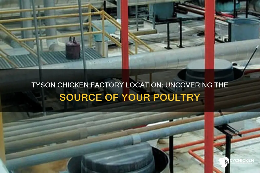 Tyson Chicken Factory Location: Uncovering The Source Of Your Poultry ...