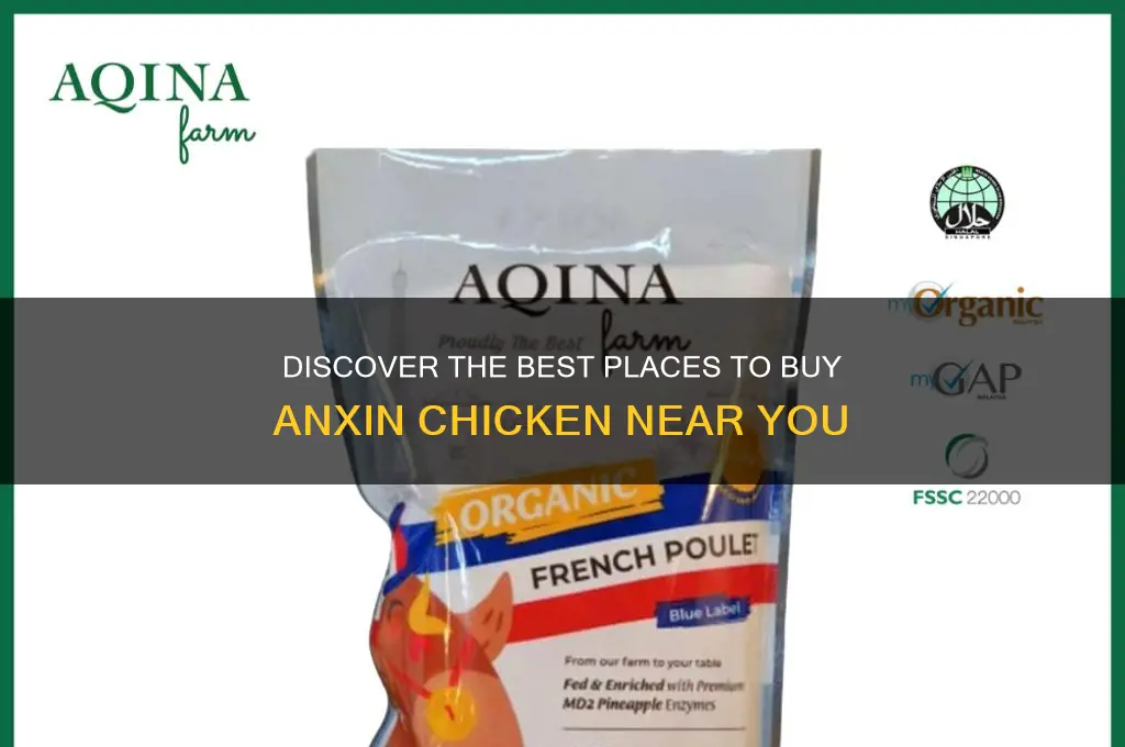 Discover The Best Places To Buy Anxin Chicken Near You | CyChicken