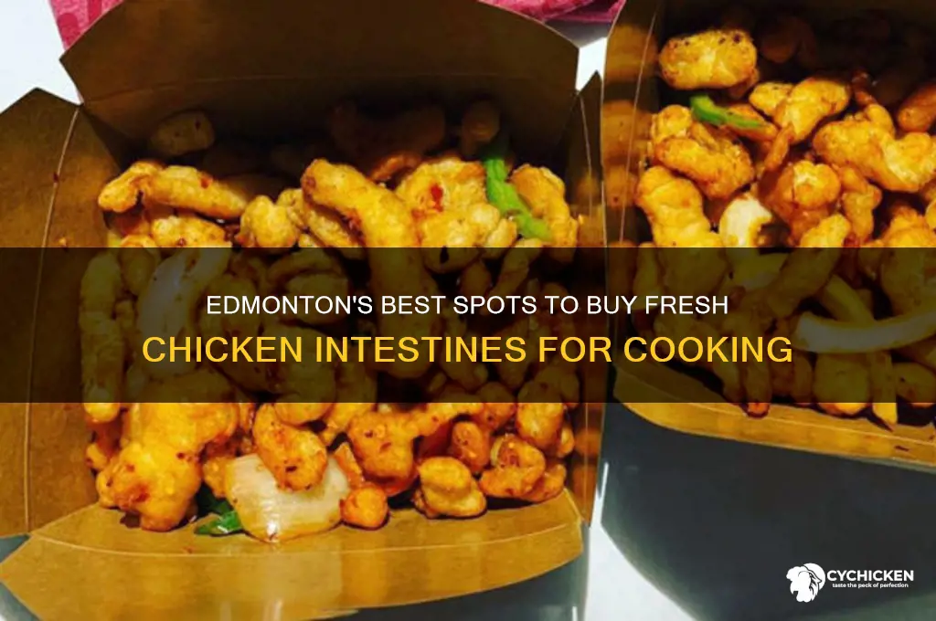 Edmonton's Best Spots To Buy Fresh Chicken Intestines For Cooking ...