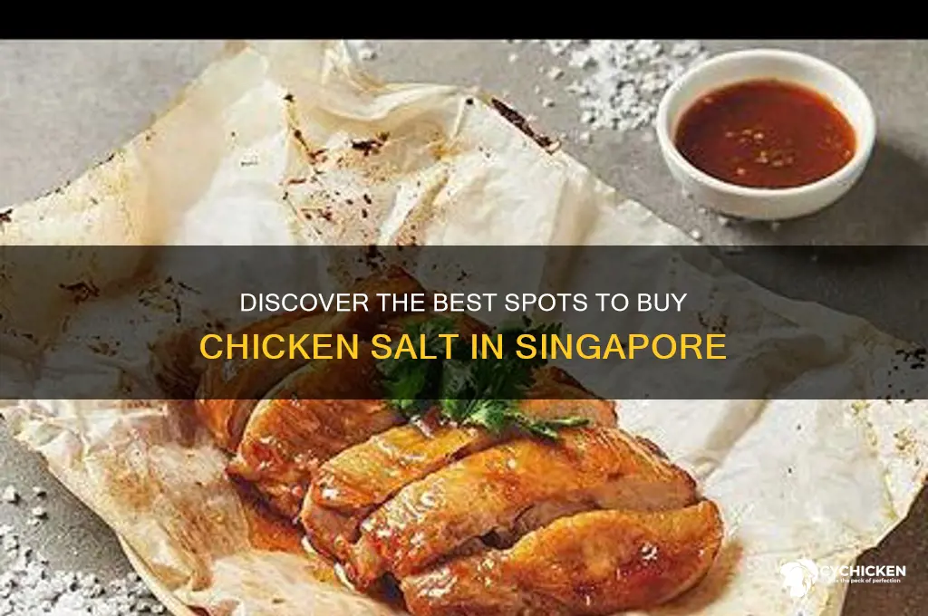 Discover The Best Spots To Buy Chicken Salt In Singapore | CyChicken