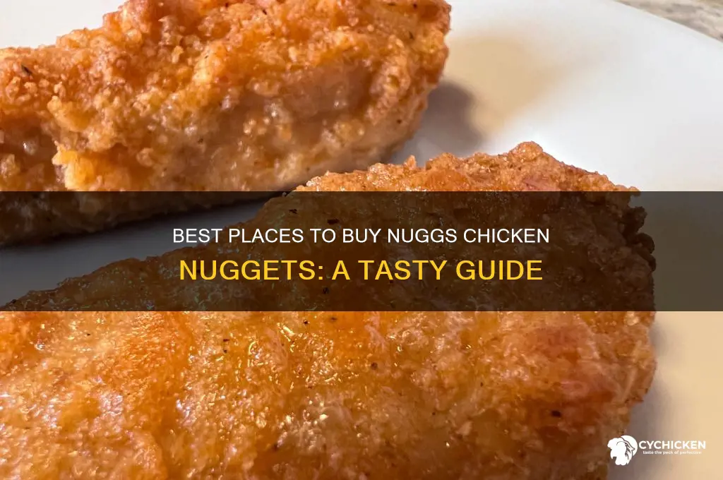 Best Places To Buy Nuggs Chicken Nuggets: A Tasty Guide | CyChicken