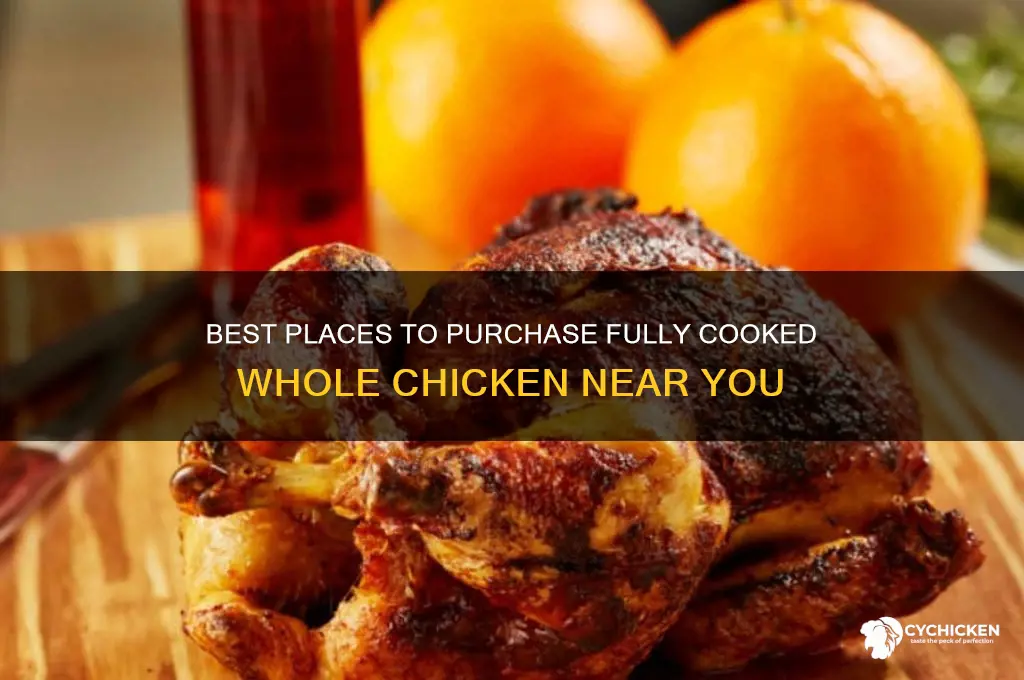 Best Places To Purchase Fully Cooked Whole Chicken Near You | CyChicken