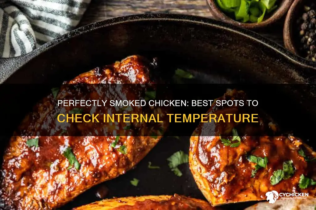 Perfectly Smoked Chicken: Best Spots To Check Internal Temperature ...