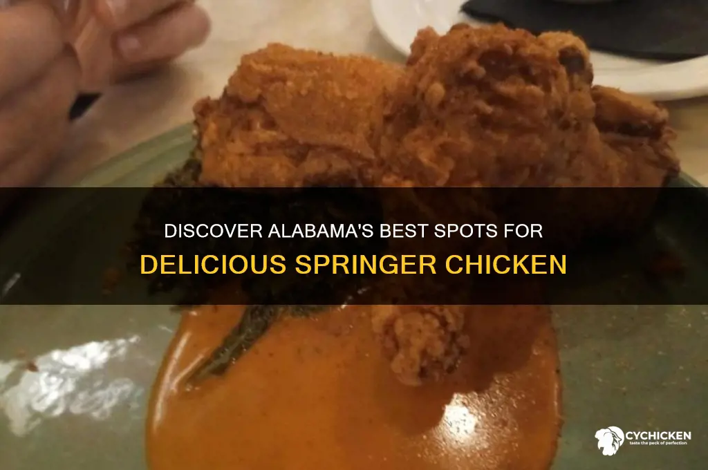 Discover Alabama's Best Spots For Delicious Springer Chicken | CyChicken