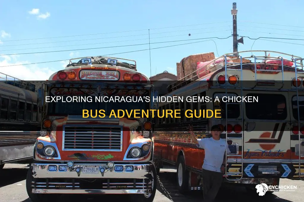Exploring Nicaragua's Hidden Gems: A Chicken Bus Adventure Guide ...