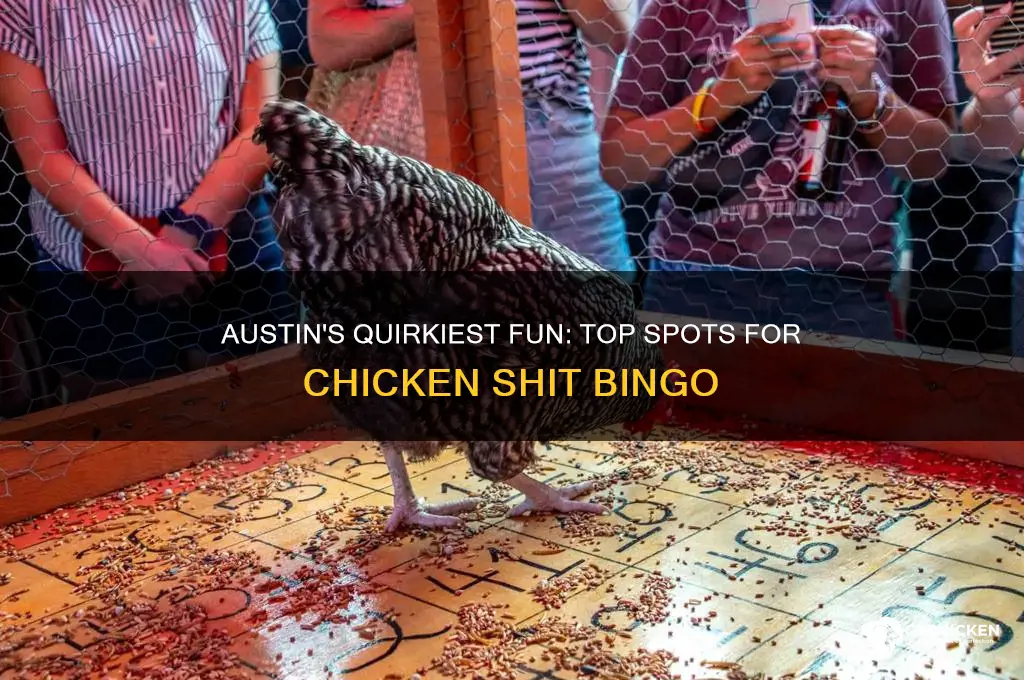 Austin's Quirkiest Fun: Top Spots For Chicken Shit Bingo | CyChicken