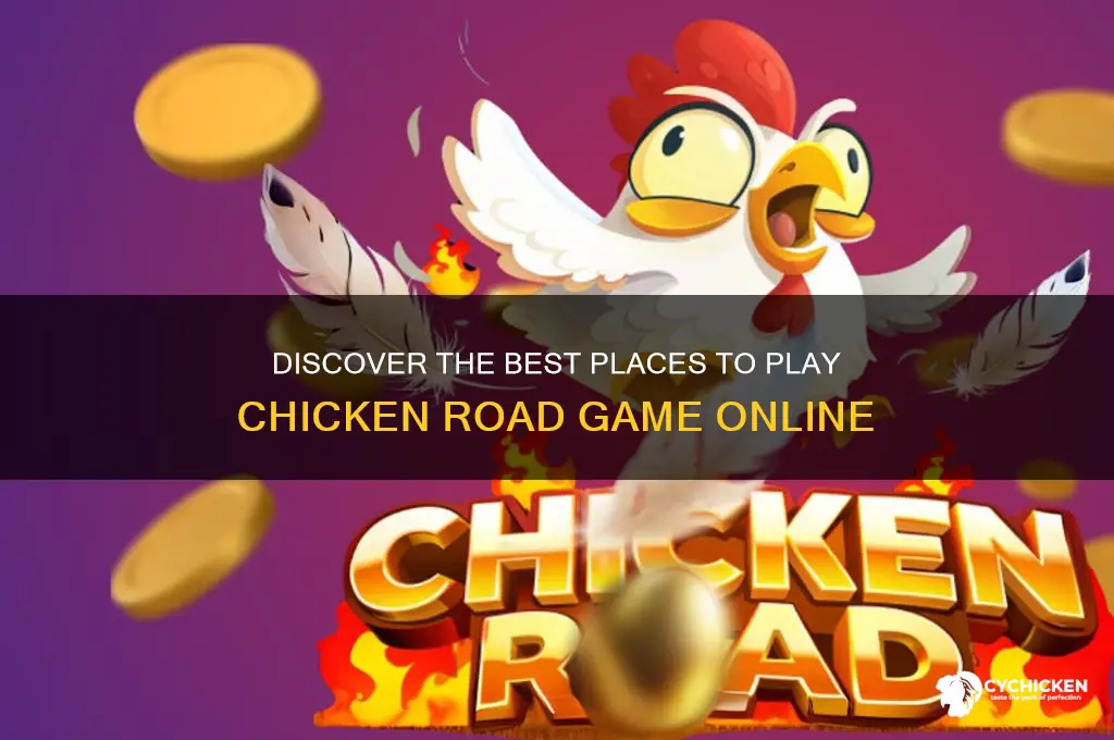 Discover The Best Places To Play Chicken Road Game Online | CyChicken