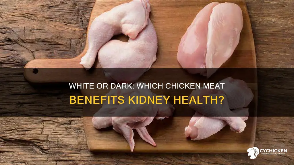 White Or Dark: Which Chicken Meat Benefits Kidney Health? | CyChicken
