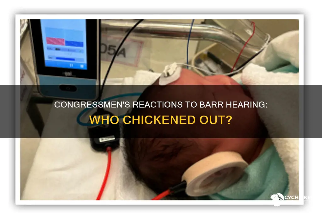 Congressmen's Reactions To Barr Hearing: Who Chickened Out? | CyChicken