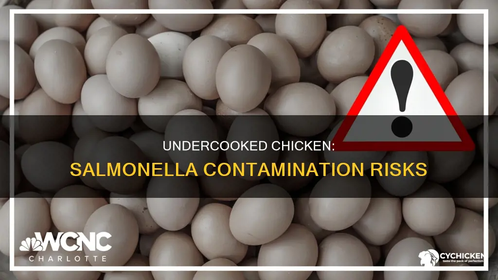 Undercooked Chicken: Salmonella Contamination Risks | CyChicken