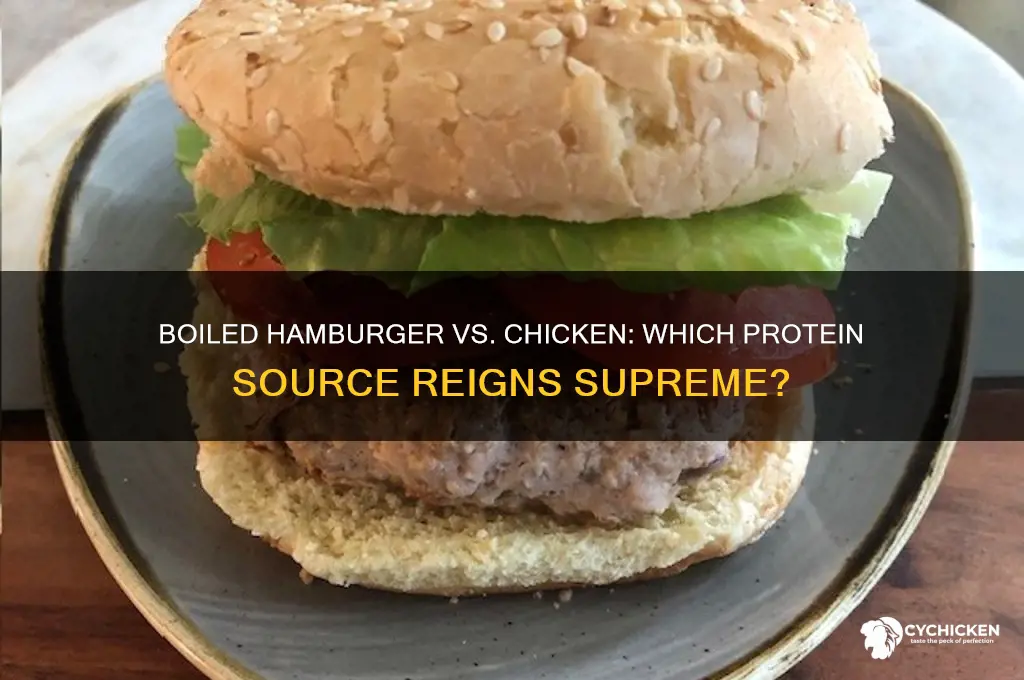 Boiled Hamburger Vs. Chicken: Which Protein Source Reigns Supreme ...