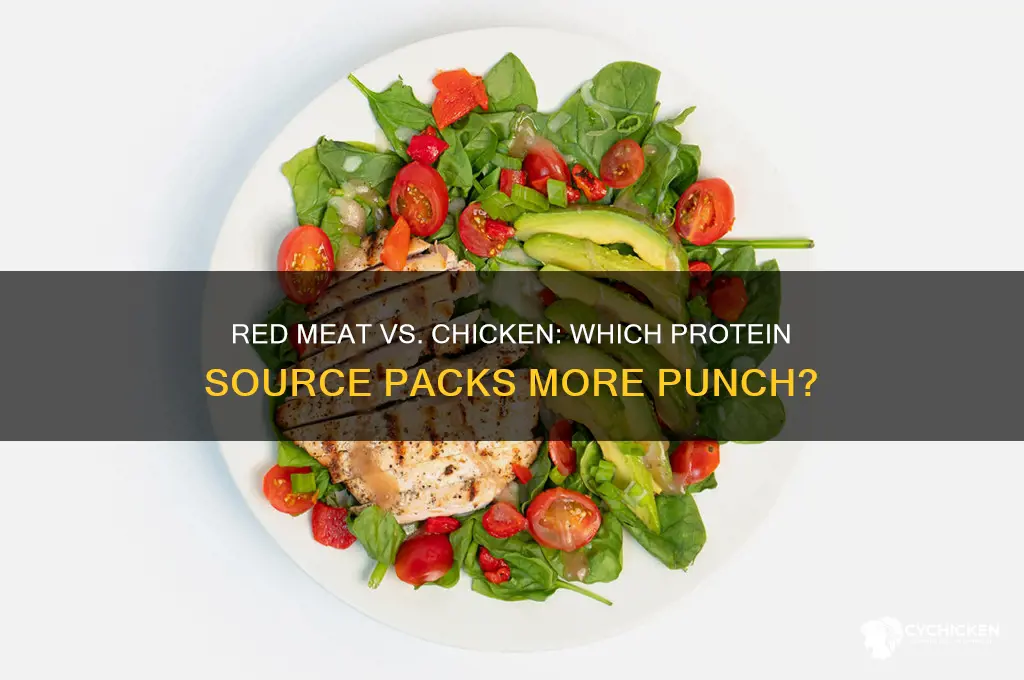 Red Meat Vs. Chicken: Which Protein Source Packs More Punch? | CyChicken
