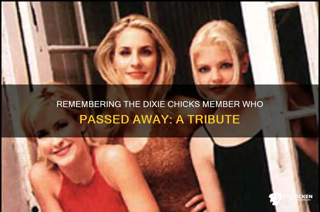 Remembering The Dixie Chicks Member Who Passed Away: A Tribute | CyChicken