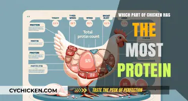 Lean Chicken Cuts: Discover The Lowest-Fat Parts For Healthy Meals ...
