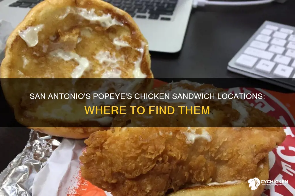 San Antonio's Popeye's Chicken Sandwich Locations: Where To Find Them ...