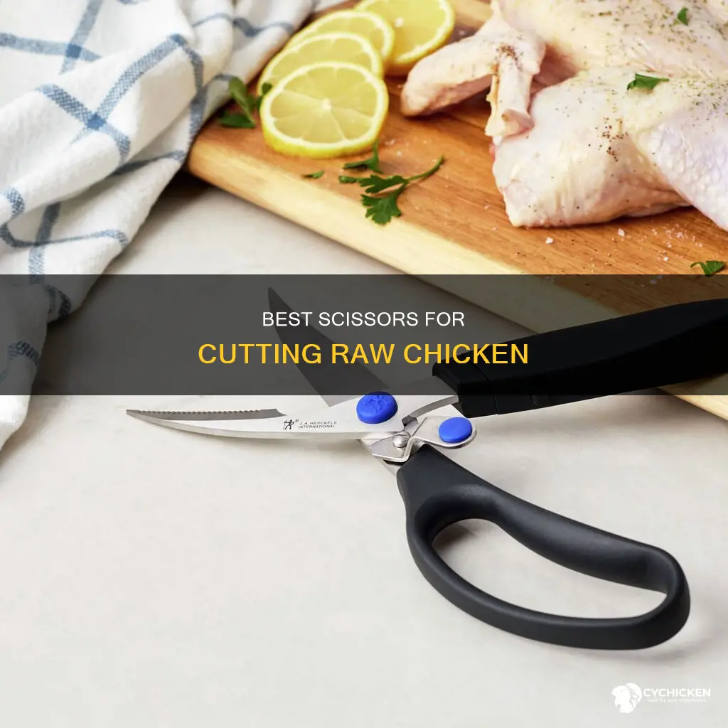 Best Scissors For Cutting Raw Chicken | CyChicken