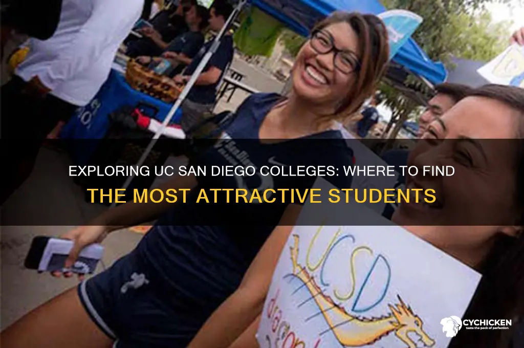 Exploring Uc San Diego Colleges: Where To Find The Most Attractive ...