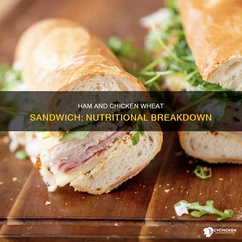 Ham And Chicken Wheat Sandwich: Nutritional Breakdown | CyChicken