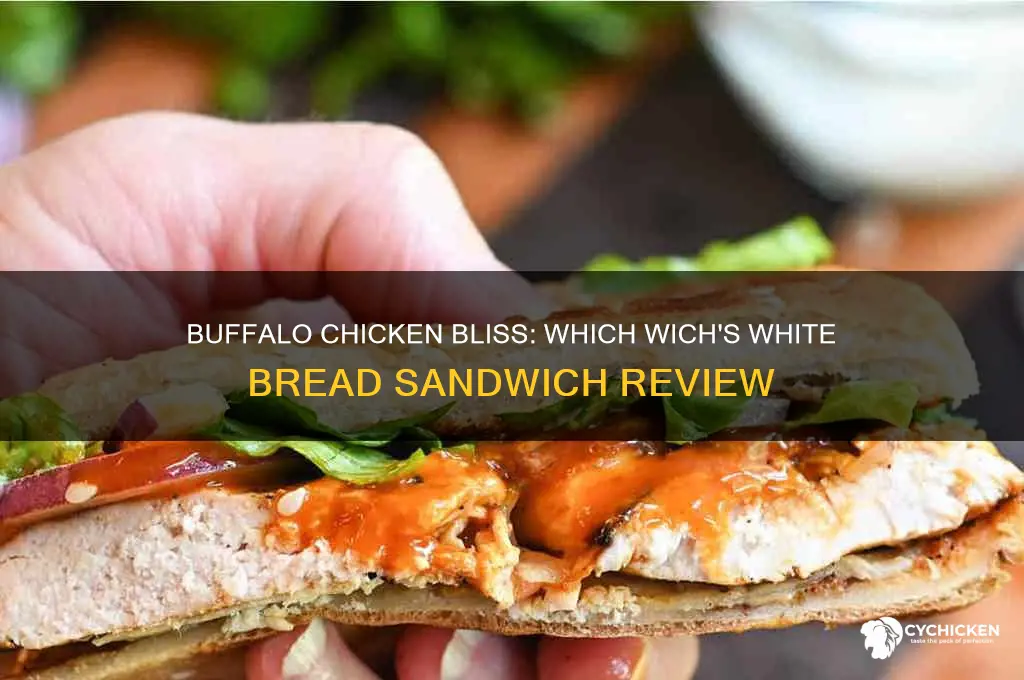 Buffalo Chicken Bliss: Which Wich's White Bread Sandwich Review | CyChicken