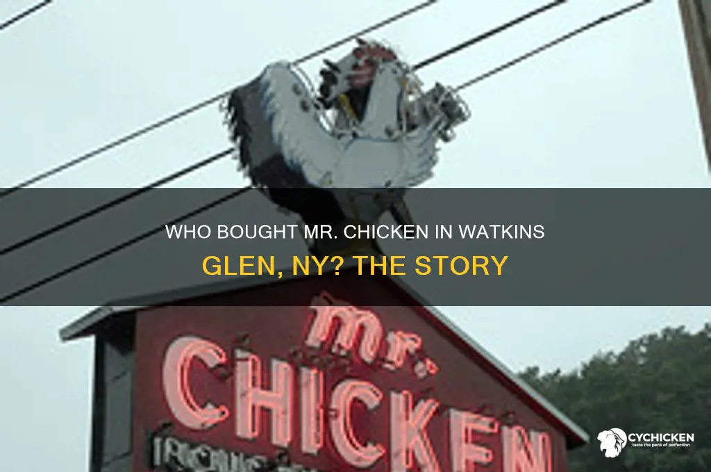 Who Bought Mr. Chicken In Watkins Glen, Ny? The Story | CyChicken