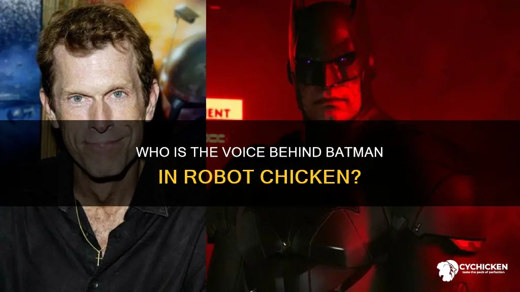 Who Is The Voice Behind Batman In Robot Chicken? | CyChicken