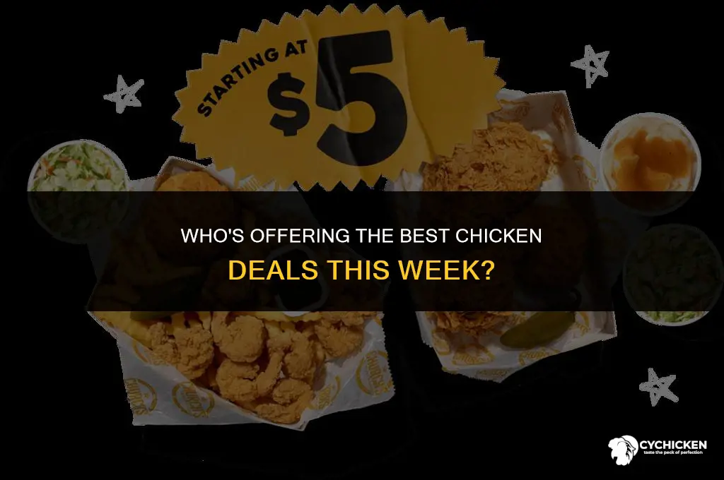 Who's Offering The Best Chicken Deals This Week? | CyChicken