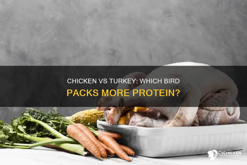 Chicken Vs Turkey: Which Bird Packs More Protein? | CyChicken