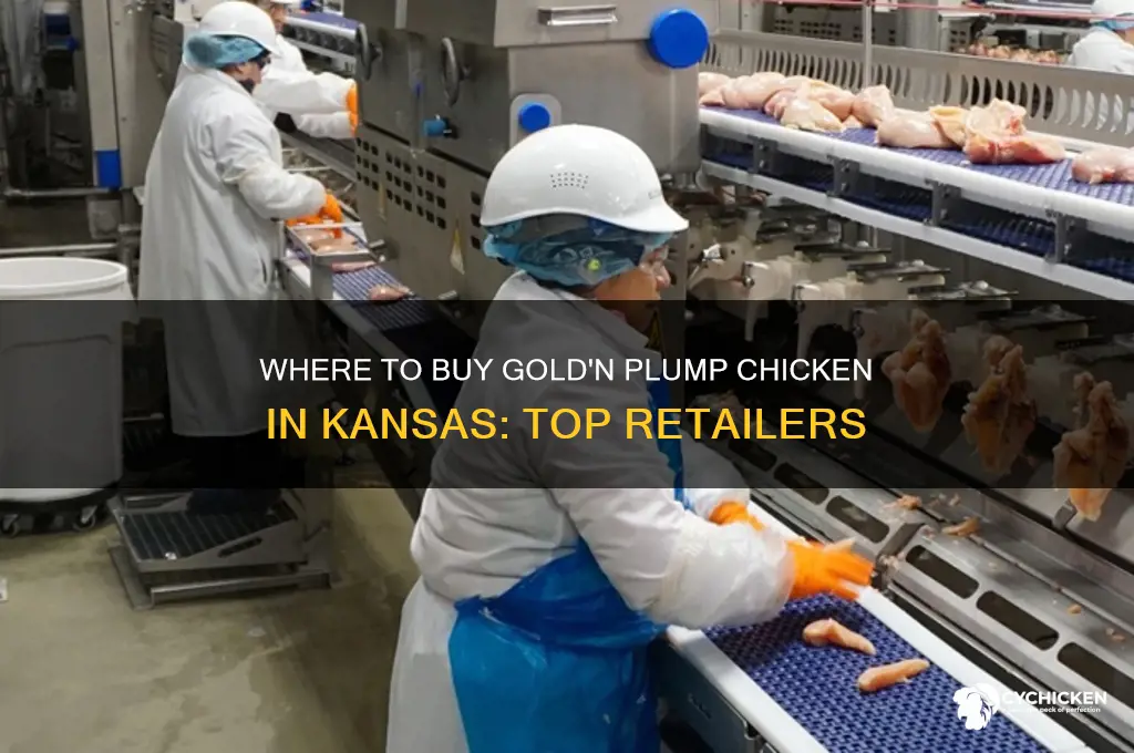 Where To Buy Gold'n Plump Chicken In Kansas: Top Retailers | CyChicken
