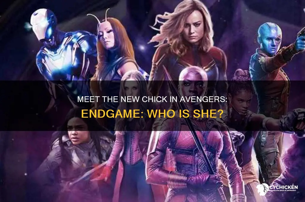 Meet The New Chick In Avengers: Endgame: Who Is She? | CyChicken